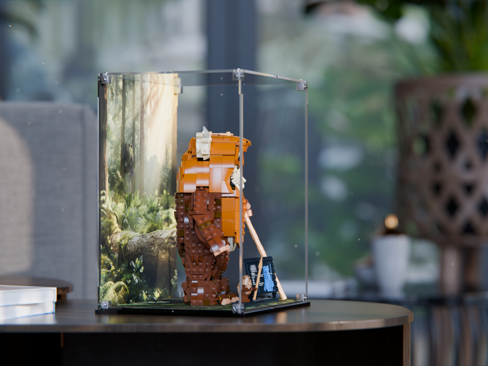 LEGO® Wicket the Ewok™ (75430) Display Case