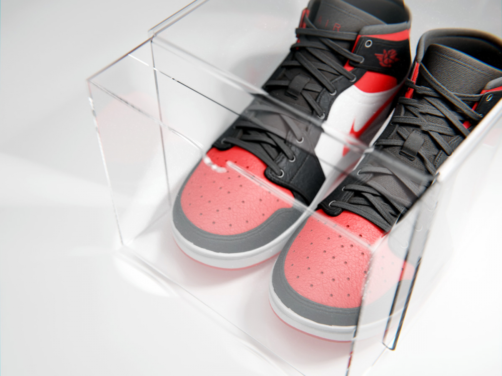 Hi-Top Trainer Storage Box