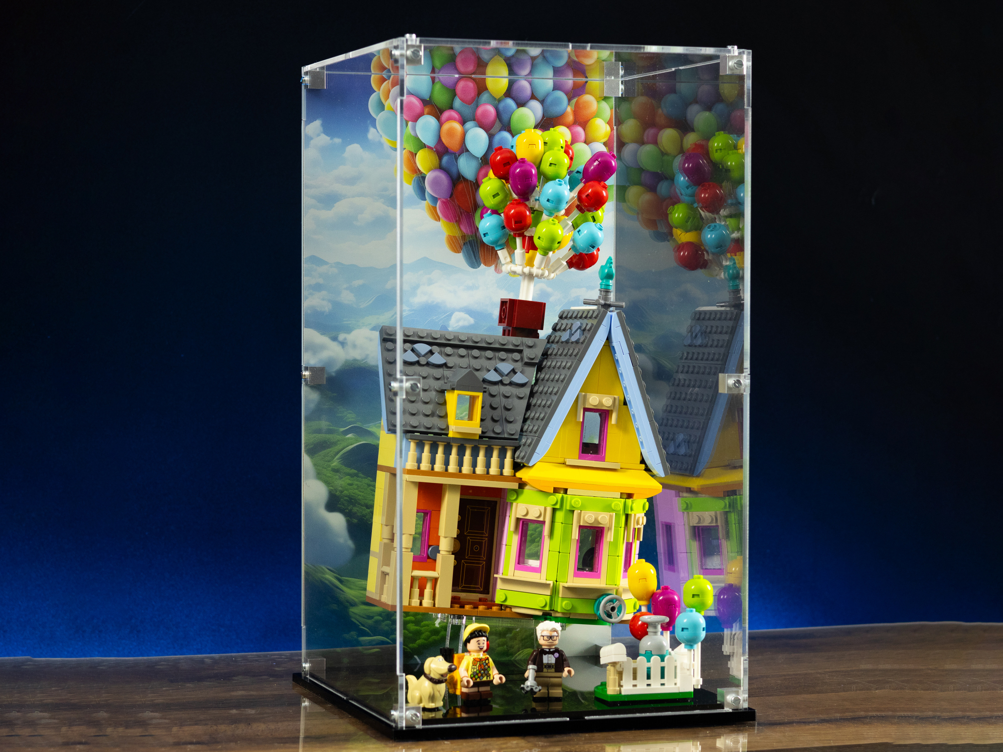 LEGO® ‘Up’ House (43217) Display Case